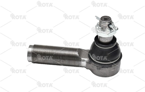 Rotbaşı | ROTA-2010137