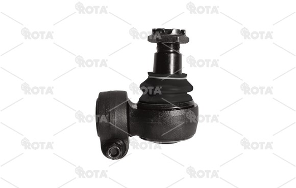 Dişi Rotbaşı | ROTA-2015645