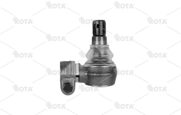 Dişi Rotbaşı | ROTA-20510311