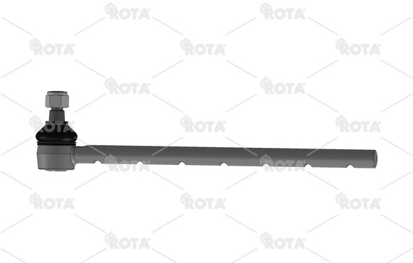 Erkek Rotbaşı | ROTA-3038759